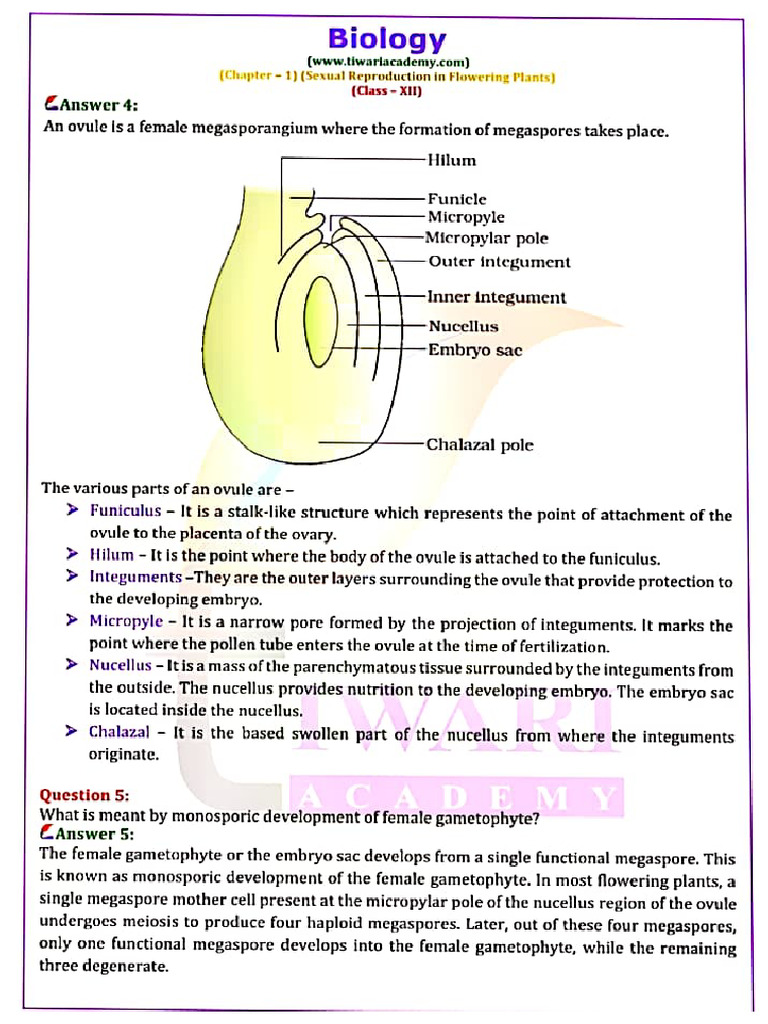 12 Botany Textual Questions | PDF