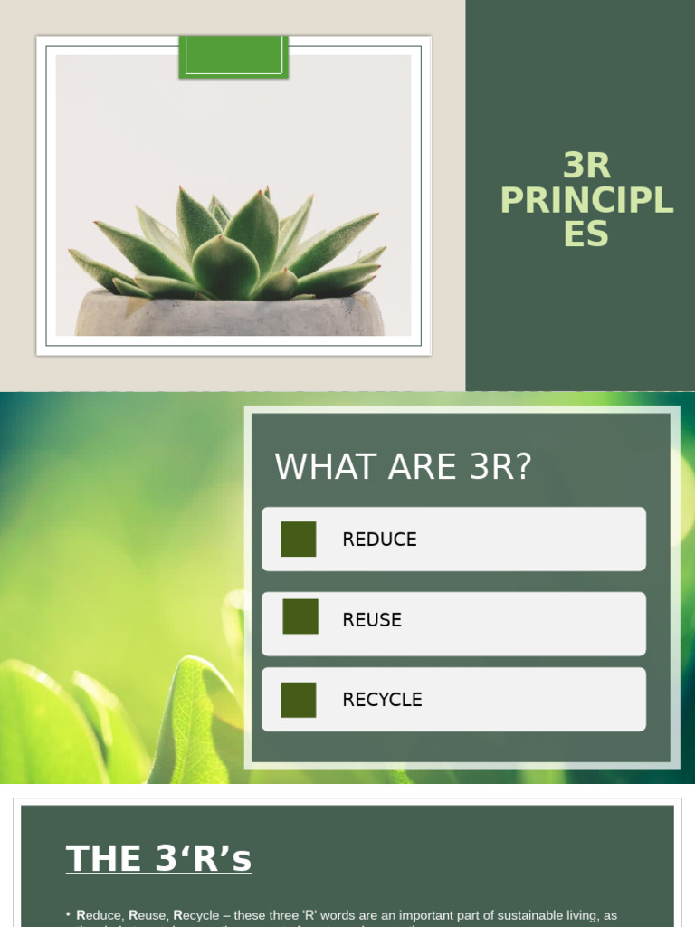3R Principles | PDF