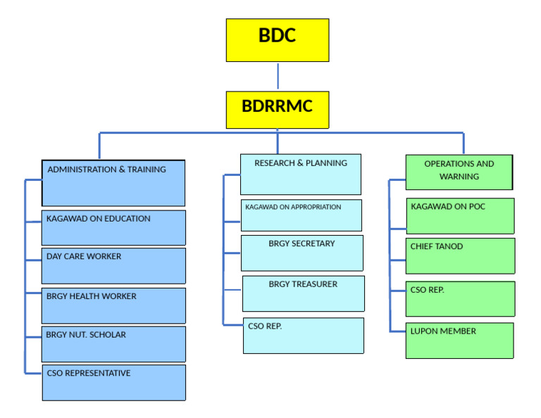 BDRRMC Structure (1) | PDF