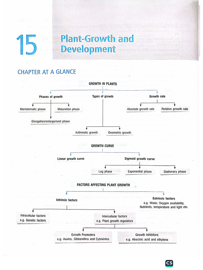 Plant - Growth and Development | PDF