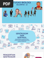 Kelompok 6 - Sentriol & Sentrosom | PDF