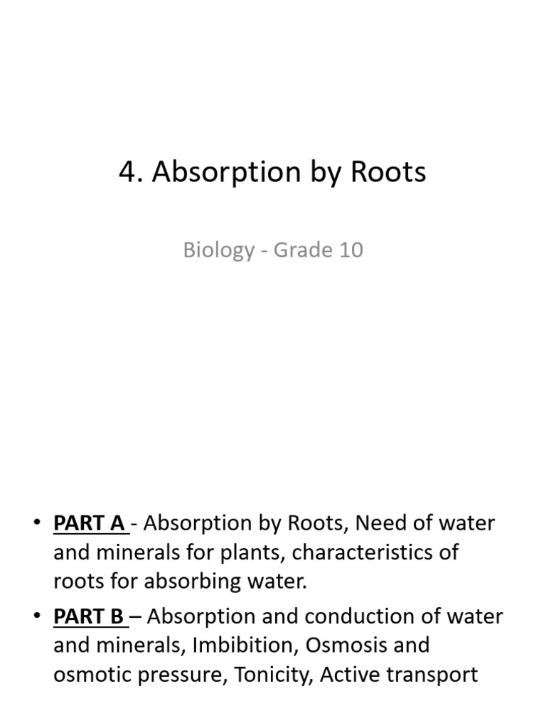 GR 10 Bio Chapter 4 Absorption by Roots | PDF | Osmosis | Cell Biology