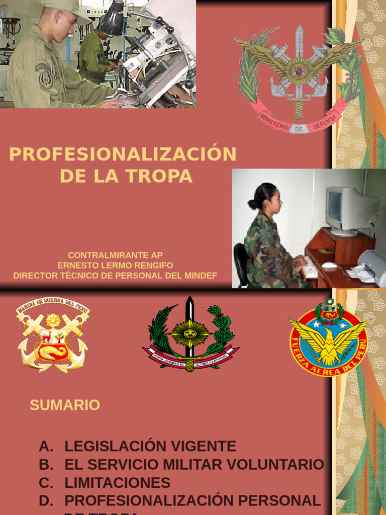 Profesionalización de la Tropa | PDF