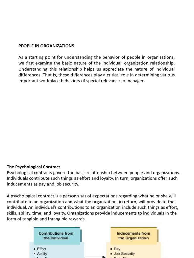 People in Organization | PDF | Emotional Intelligence | Extraversion And Introversion