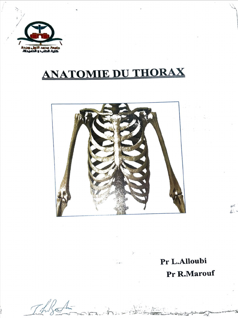 TP Thorax P_1-98 Rimbouhafs | PDF