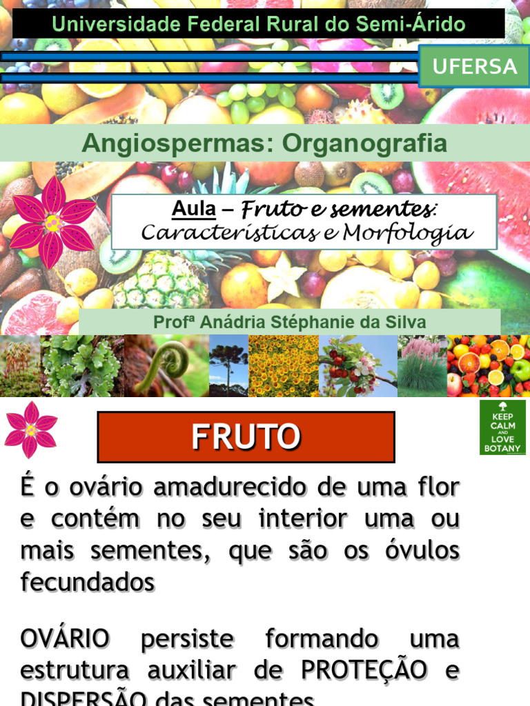 Frutos e Sementes: Morfologia e Tipos | PDF | Semente | Fruta