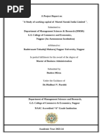 Minor Project Work Sample #1 | PDF | Financial Markets | Business