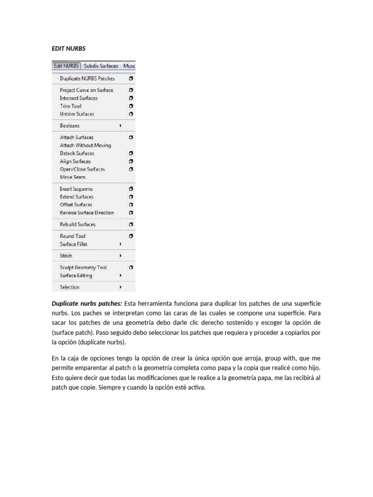 Guia Nurbs | PDF | Geometría
