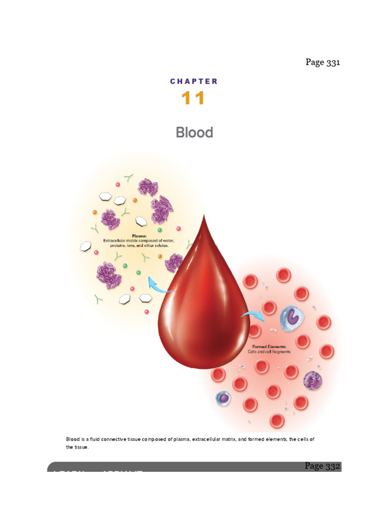 Blood | PDF | Coagulation | Platelet
