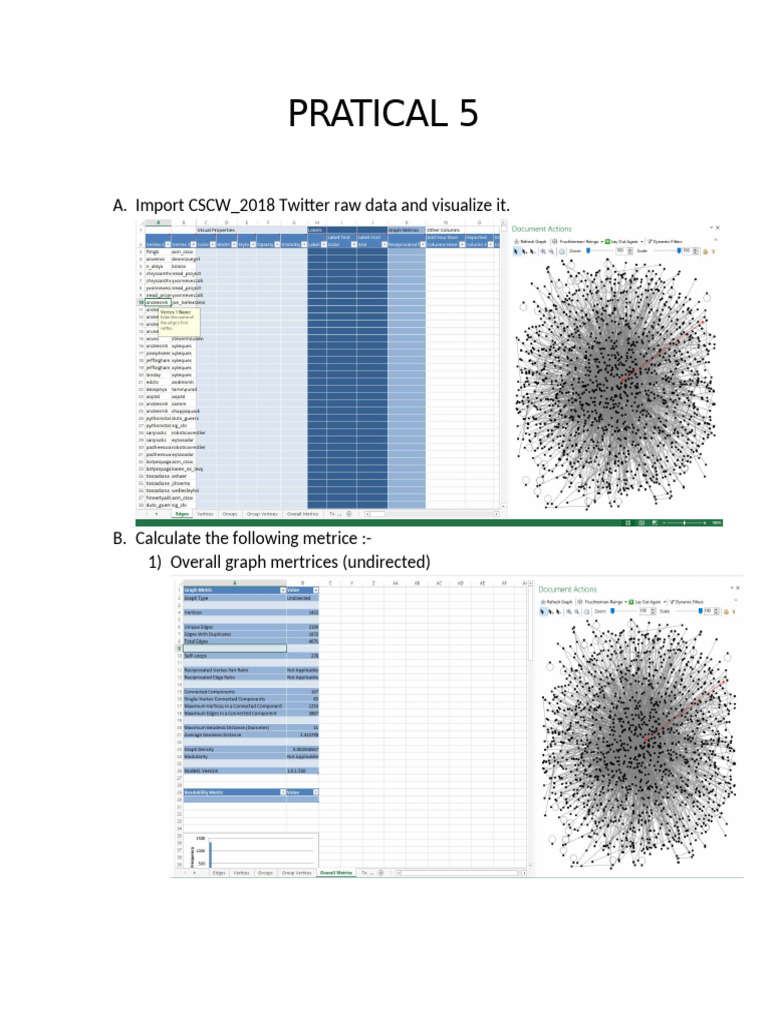 PRATICAL 5 Nodexl | PDF