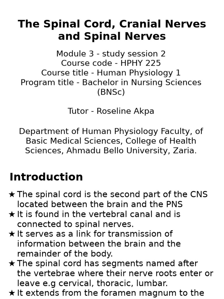 The Spinal Cord, Cranial Nerves and Spinal Nerves | PDF | Spinal Cord | Vertebral Column