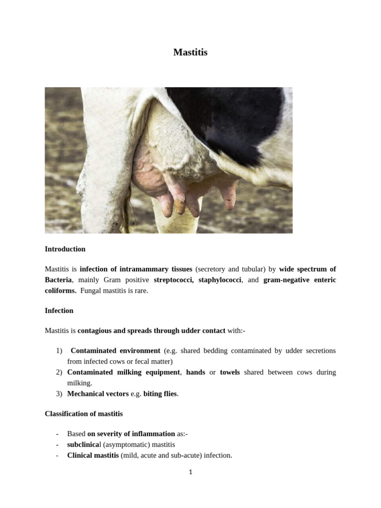 Lecture 4 - Mastitis | PDF | Infection | Diseases And Disorders