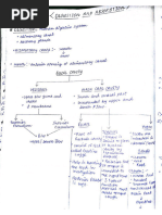 Digestive System Notes | PDF