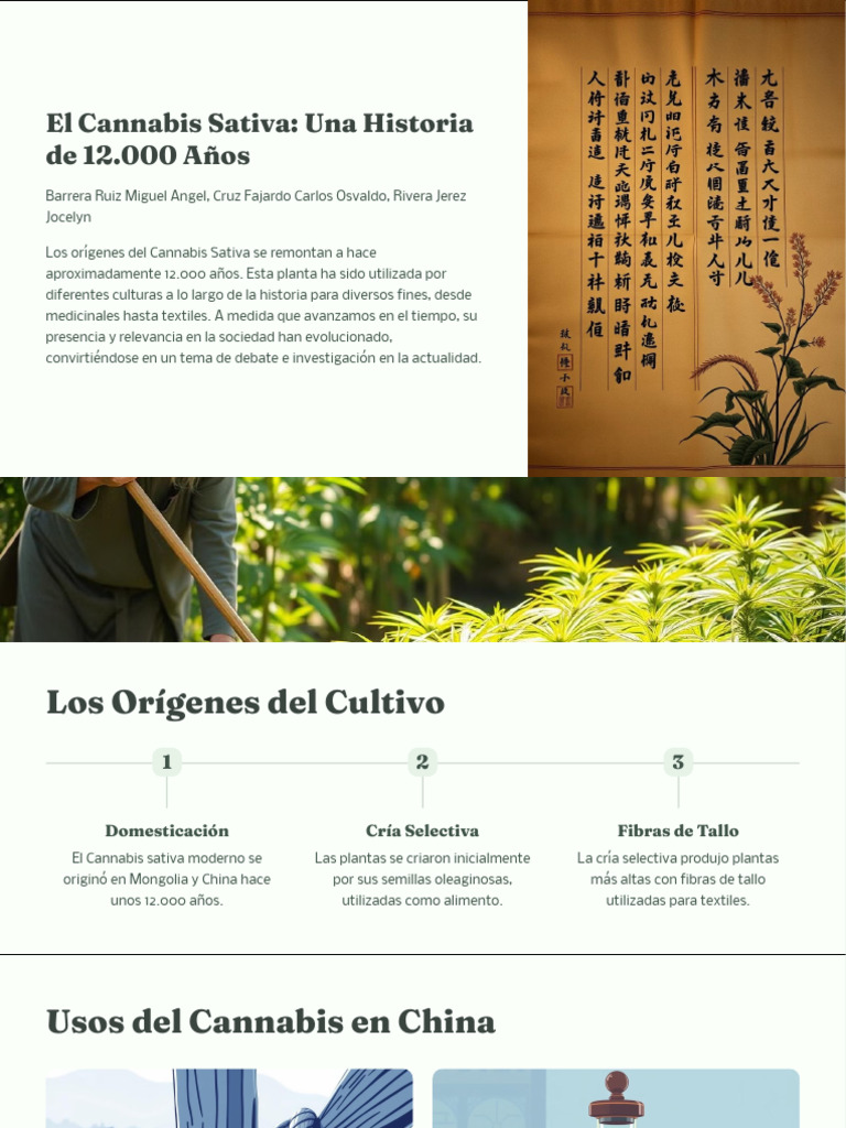 La Historia Del Canabis Pdf Cannabis Droga Canabis