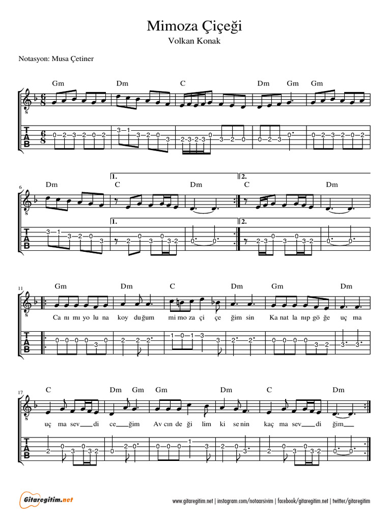 Mimoza Cicegi Nota | PDF