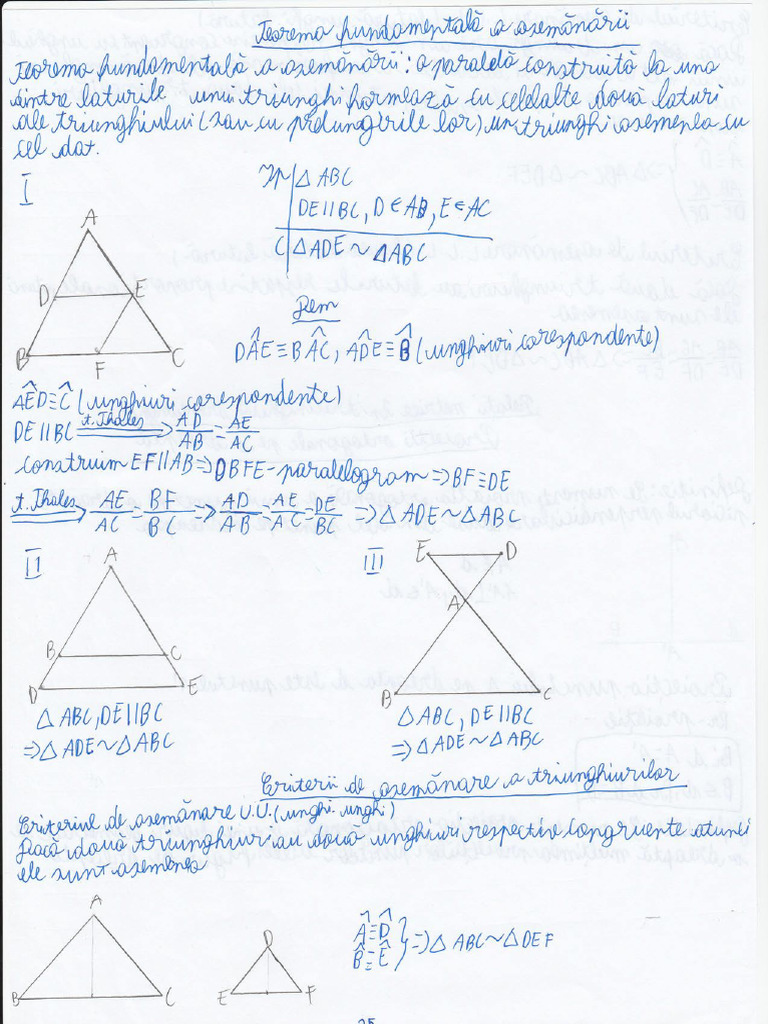 Matematica 5-8 Geometrie 35 | PDF