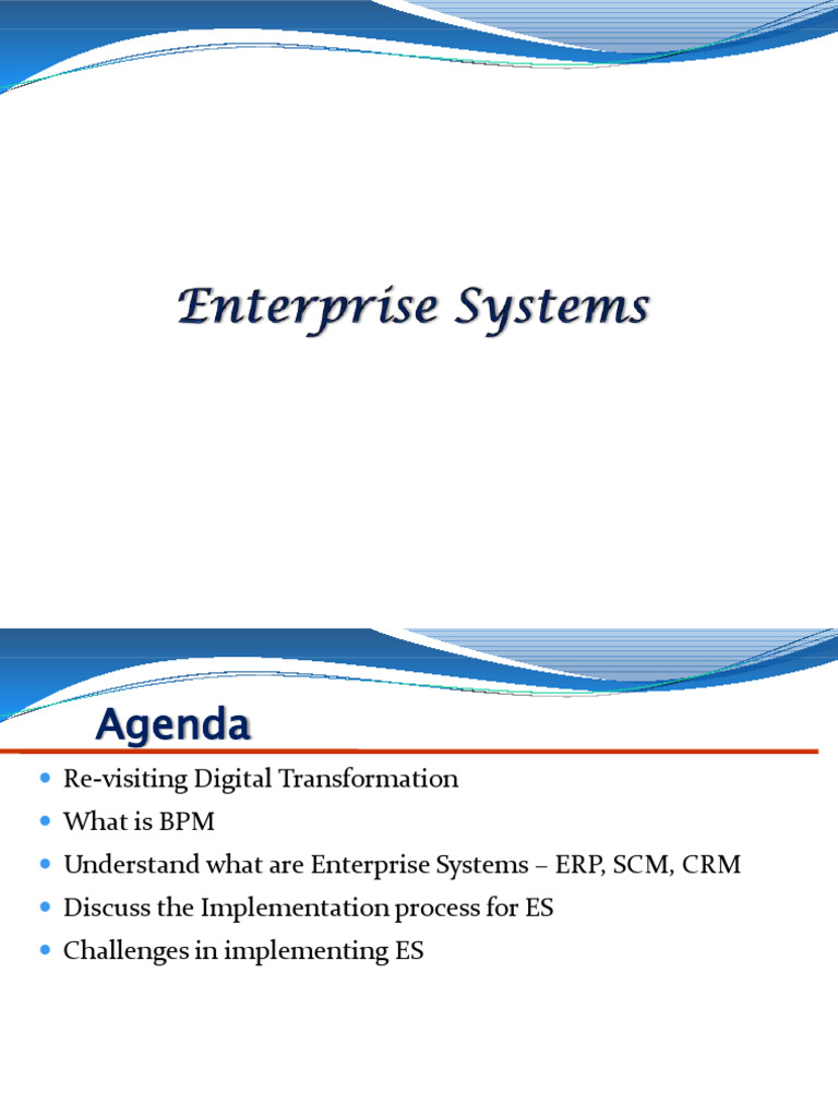 Digital Transformation and Enterprise Systems | PDF | Customer ...