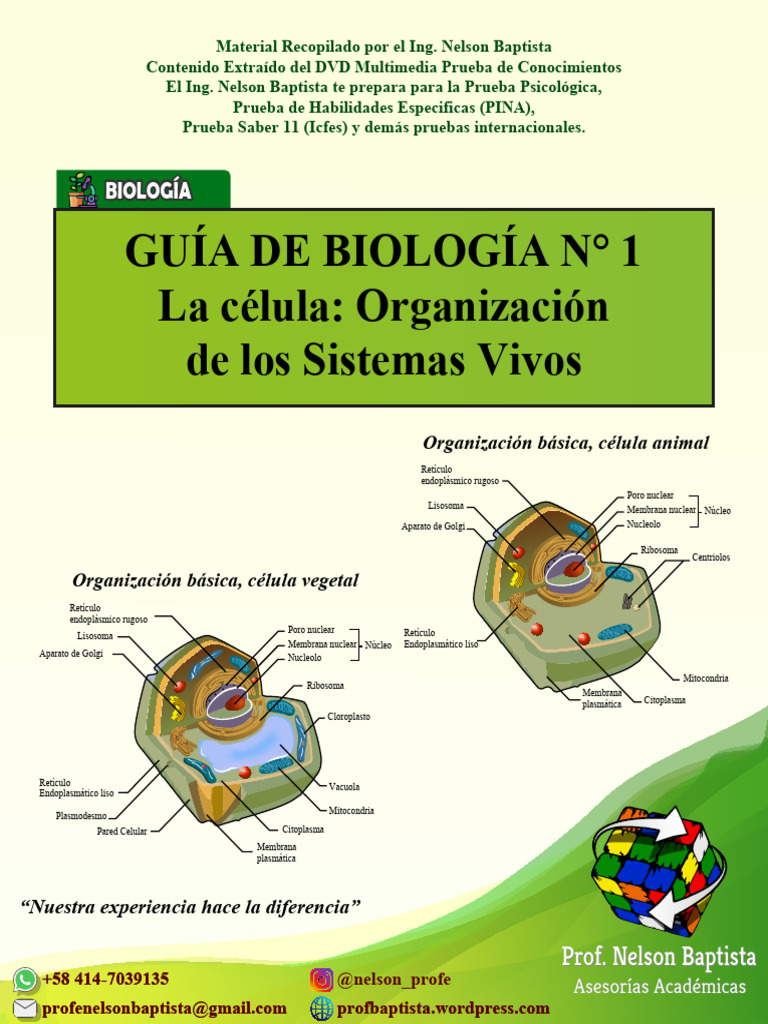 Guia Nro 1 La Celula Parte1 Curso Pina Medicina Ula | PDF | Biología Celular) | Organismos