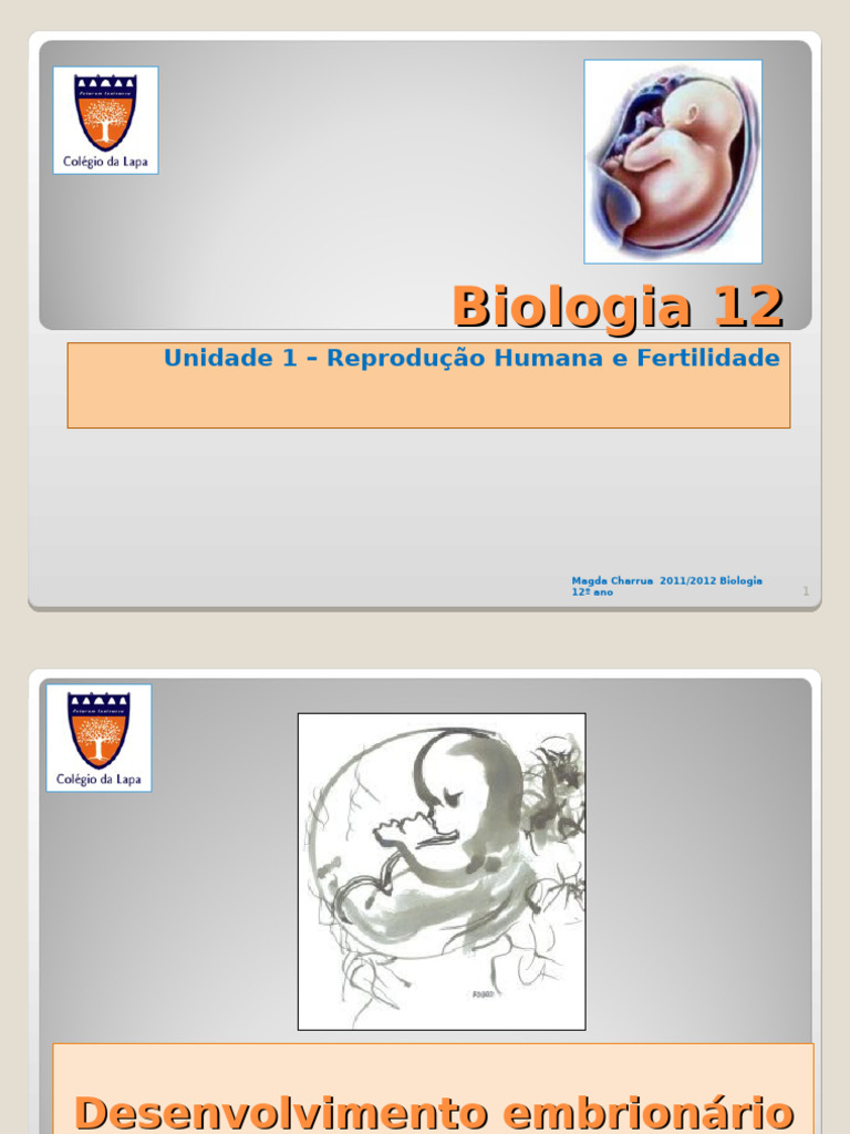 Aula13 Bio12 Ano1112 | PDF | Placenta | Ciências da Vida