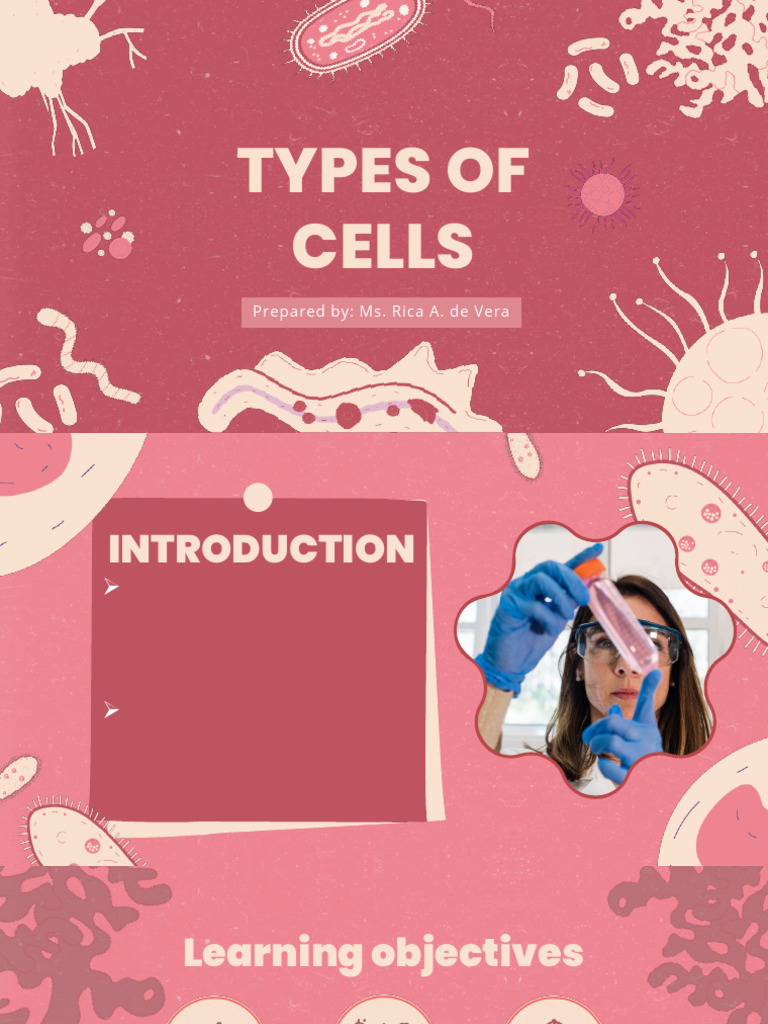Types of Cells Cell Modifications Adaptations | PDF | Cell (Biology) | Bacteria