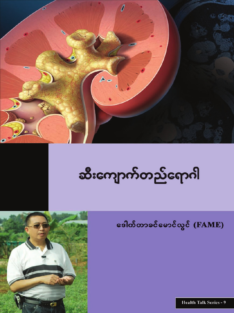 Renal Stones - Dr. Khin Maung Lwin (FAME) | PDF
