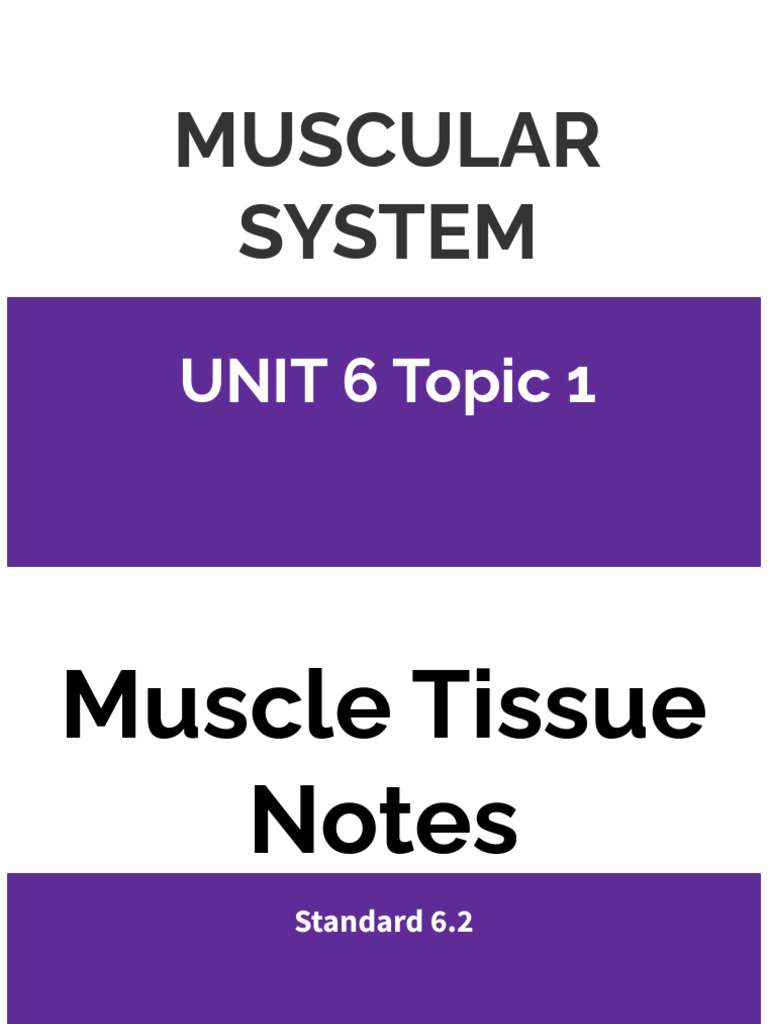 Unit 6 Topic 1 Notes | PDF | Muscle Contraction | Muscle