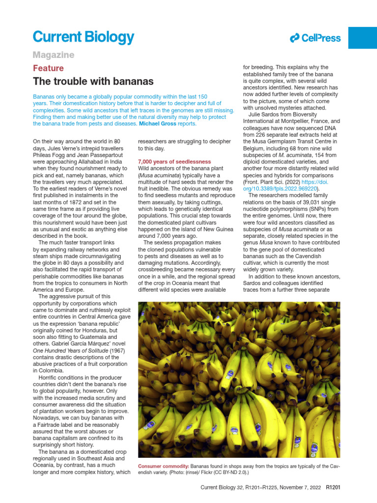 trouble with bananas | PDF | Banana | Organisms