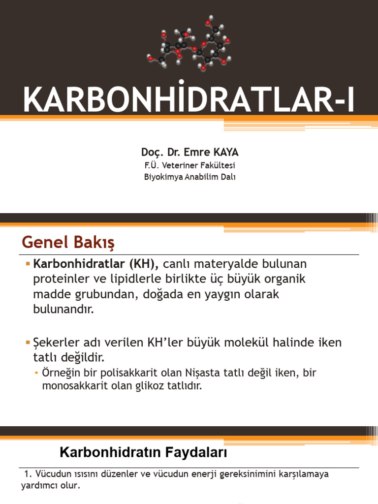 Karbonhidratlar-Genel (1-2-3. Haftalar) | PDF