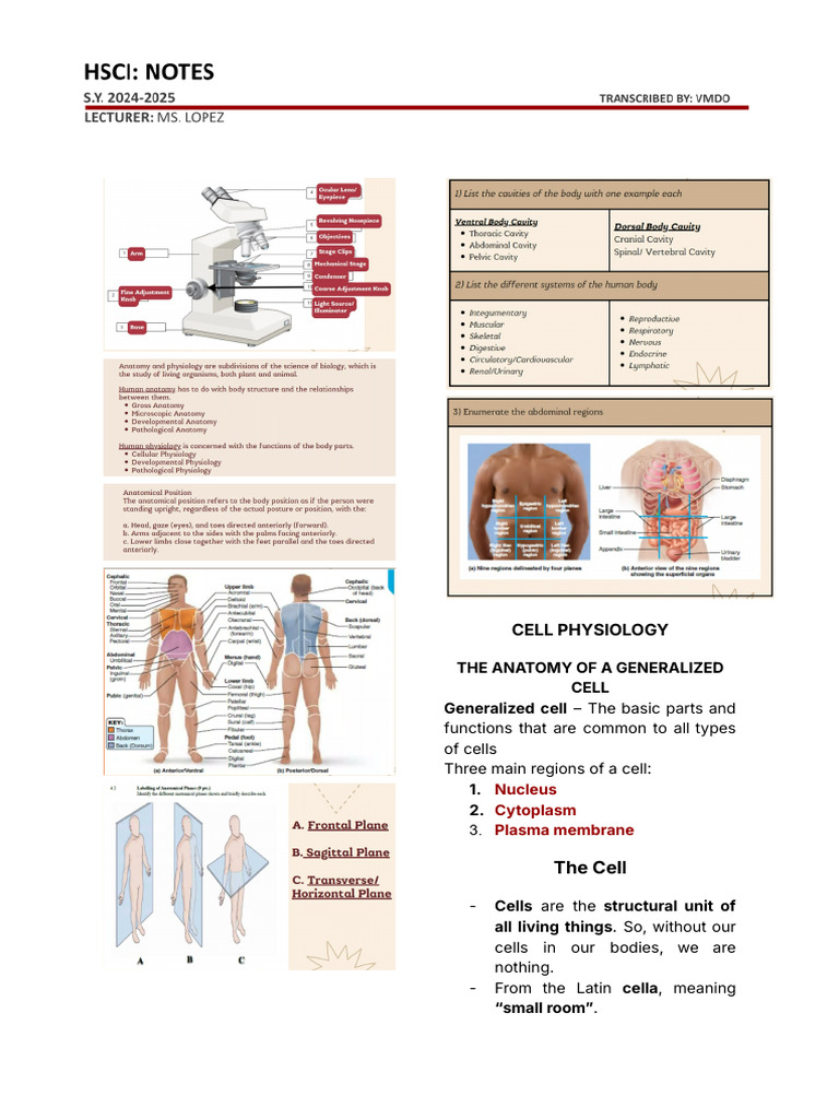 Cell Physiology Complete | PDF | Endoplasmic Reticulum | Translation ...