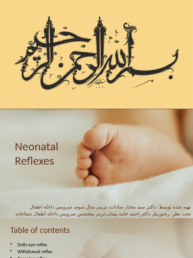 Neonatal Reflexes | PDF | Breastfeeding | Diseases And Disorders