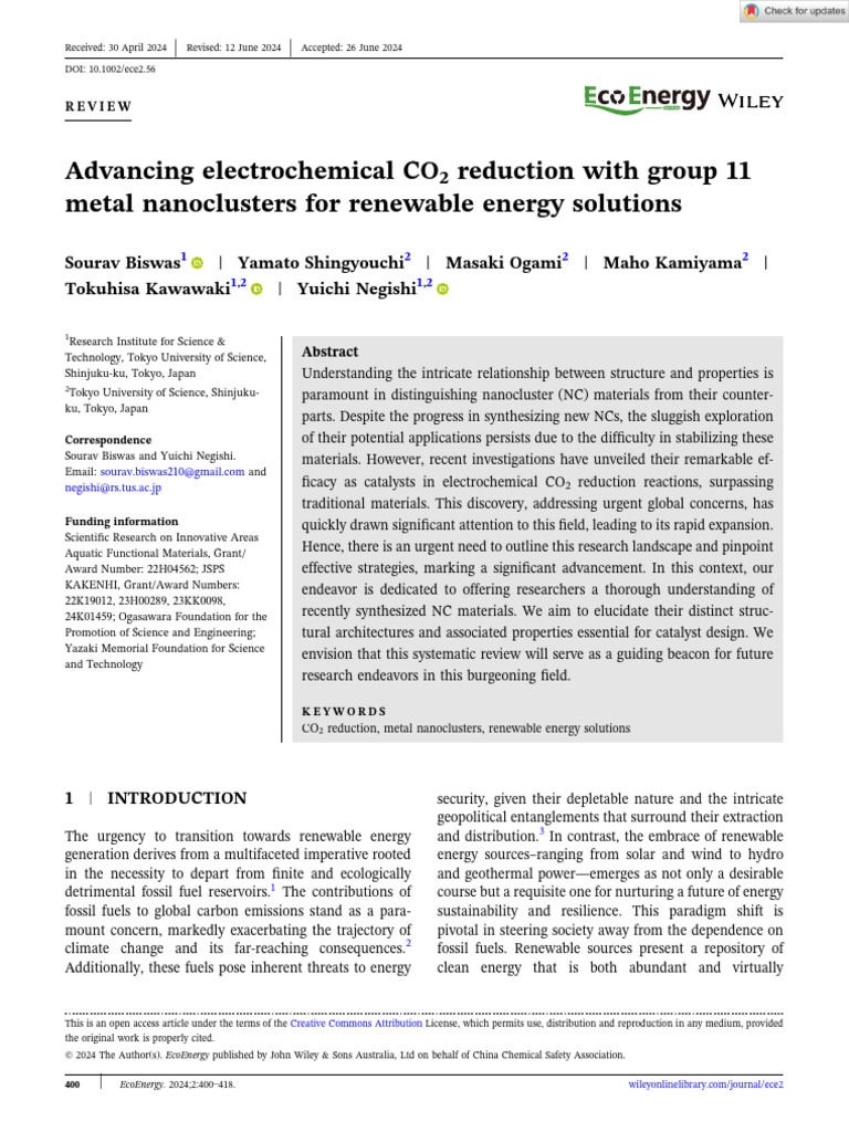 Biswas 2024 Advancing Electrochemical Co Reduct | PDF | Catalysis ...