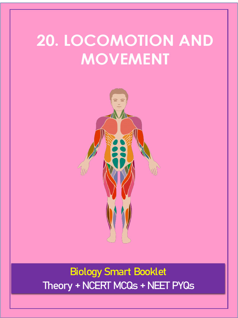 20.LOCOMOTION AND MOVEMENT-f | PDF | Muscle Contraction | Muscle