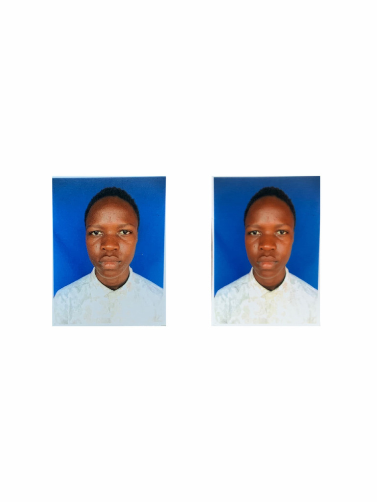 ID card 4 Nov 2024 | PDF
