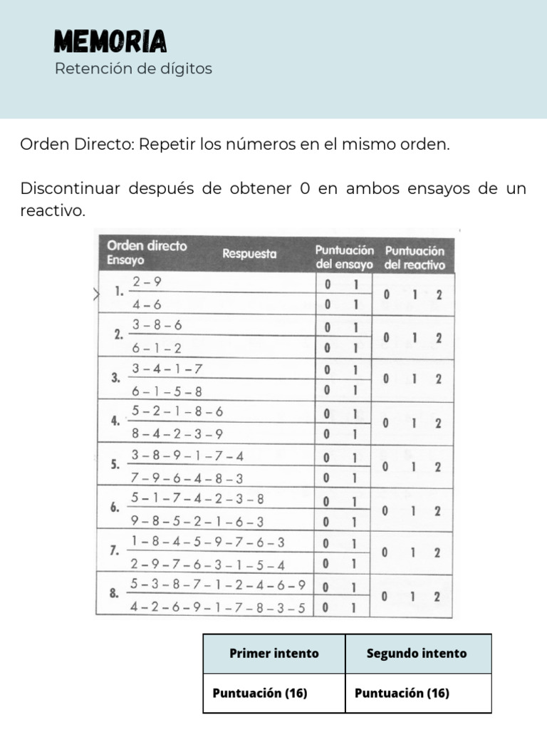 Cuadernillo Memoria de Trabajo | PDF