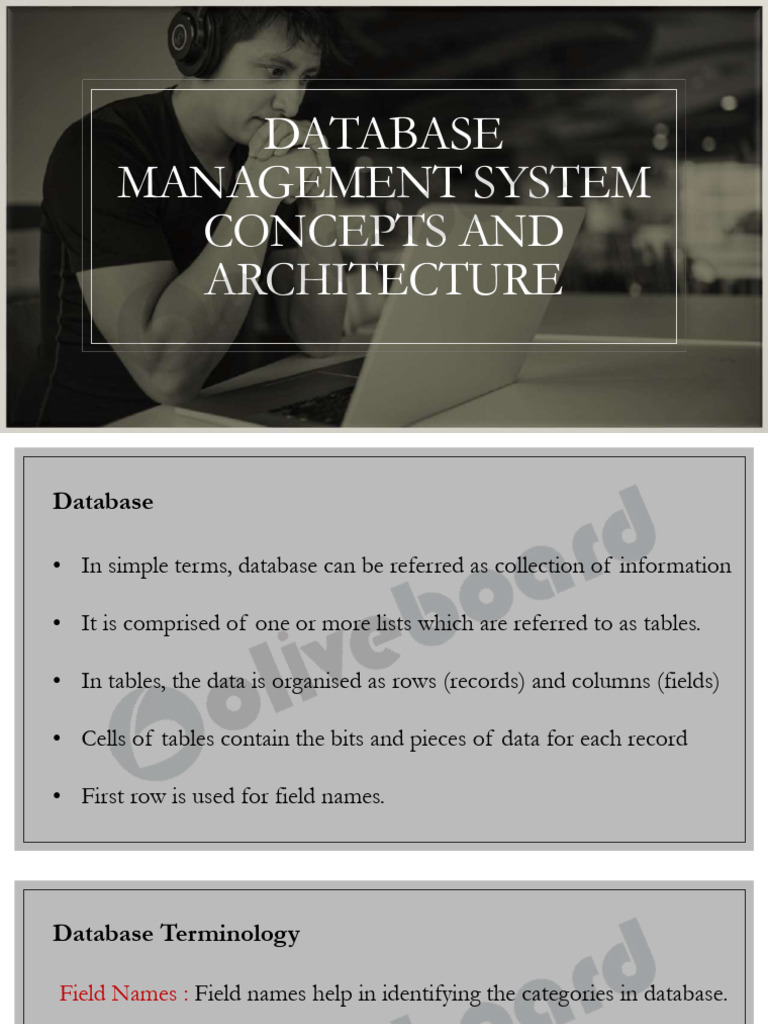Database_Architecture.13068 | PDF | Databases | Conceptual Model