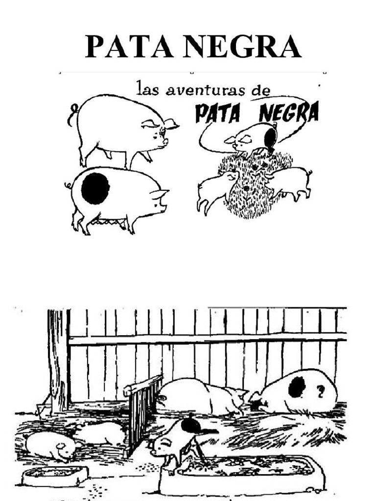 Láminas Pata Negra | PDF