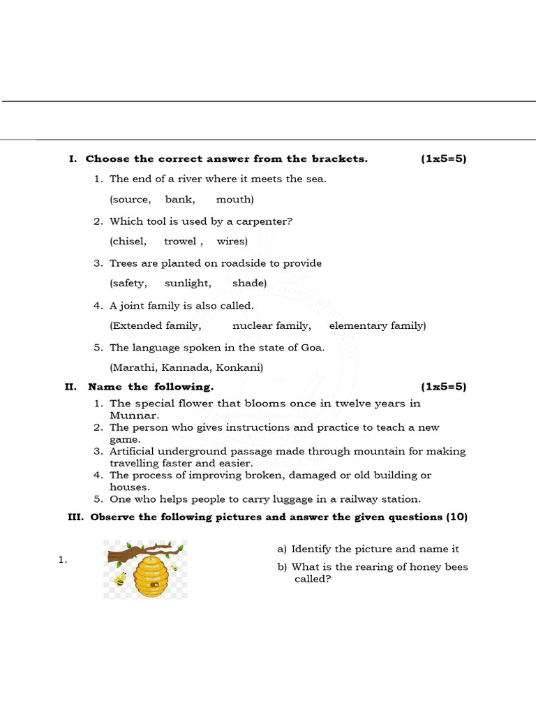 IV-Evs-cbse | PDF | Beekeeping | Bees
