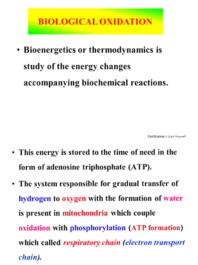 Biochemistry II - Lec 1 | PDF