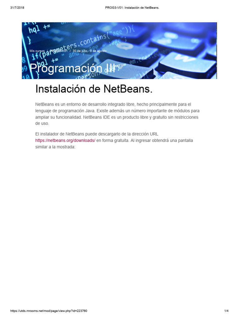 PROG3-V01_ Instalación de NetBeans_ | PDF | Frijoles Netos | Aplicaciones y software