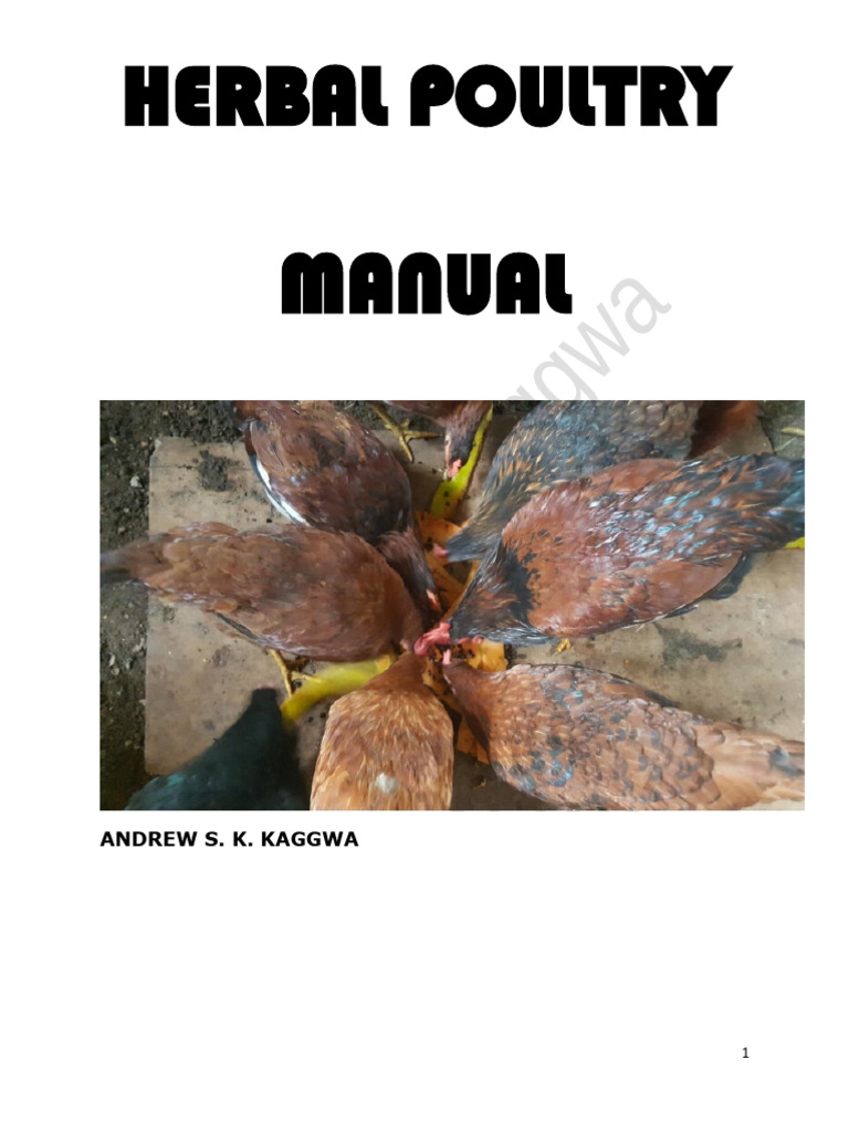 Herbal Poultry Manual | PDF | Mentha | Ginger