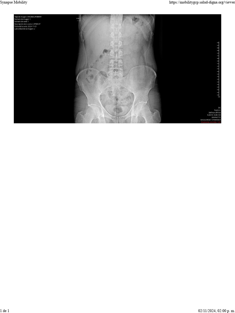 Synapse Mobility | PDF