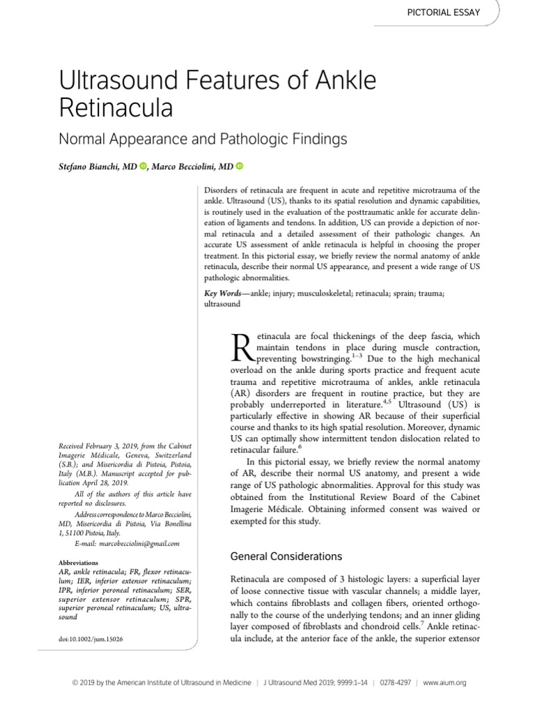 2. Retinacula of Foot | PDF | Ankle | Lower Limb Anatomy