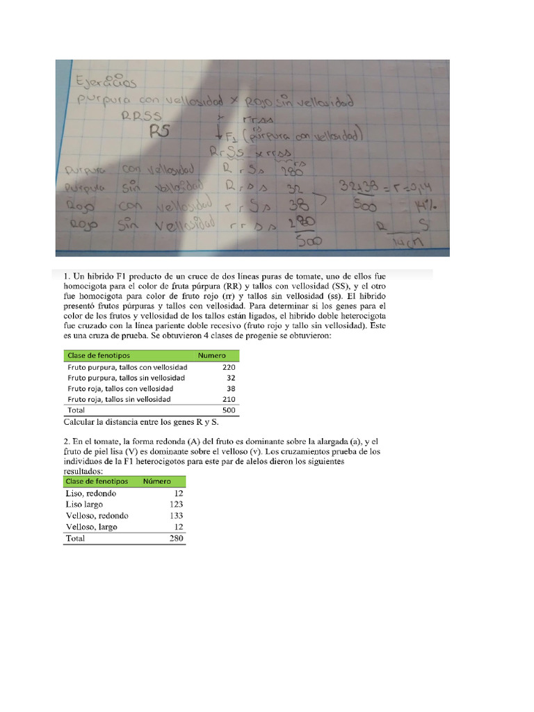 PASO FITOGEN Ejercicios Finales Blass | PDF