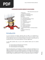 Norma NOM-021-STPS-1994 sobre riesgos laborales | PDF | México
