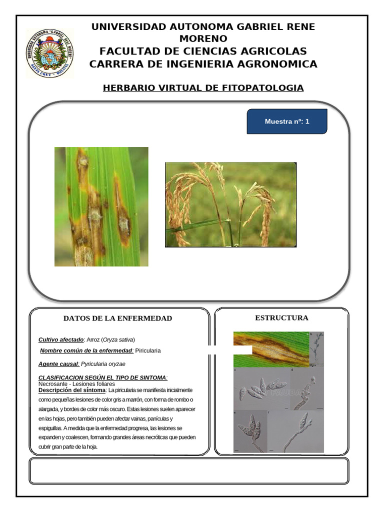 Herbario Virtual Fitopatologia | PDF | Patologia de planta | Plantas