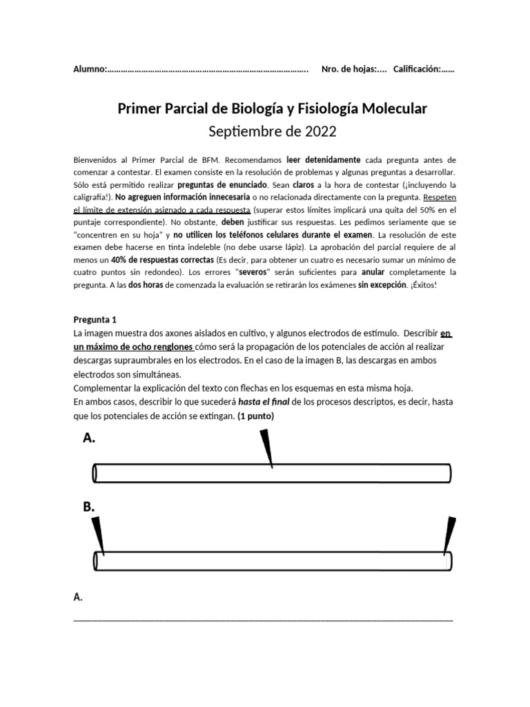 Primer Parcial - BFM 2022 2C - LUNES | PDF | Sinapsis | Membrana biológica