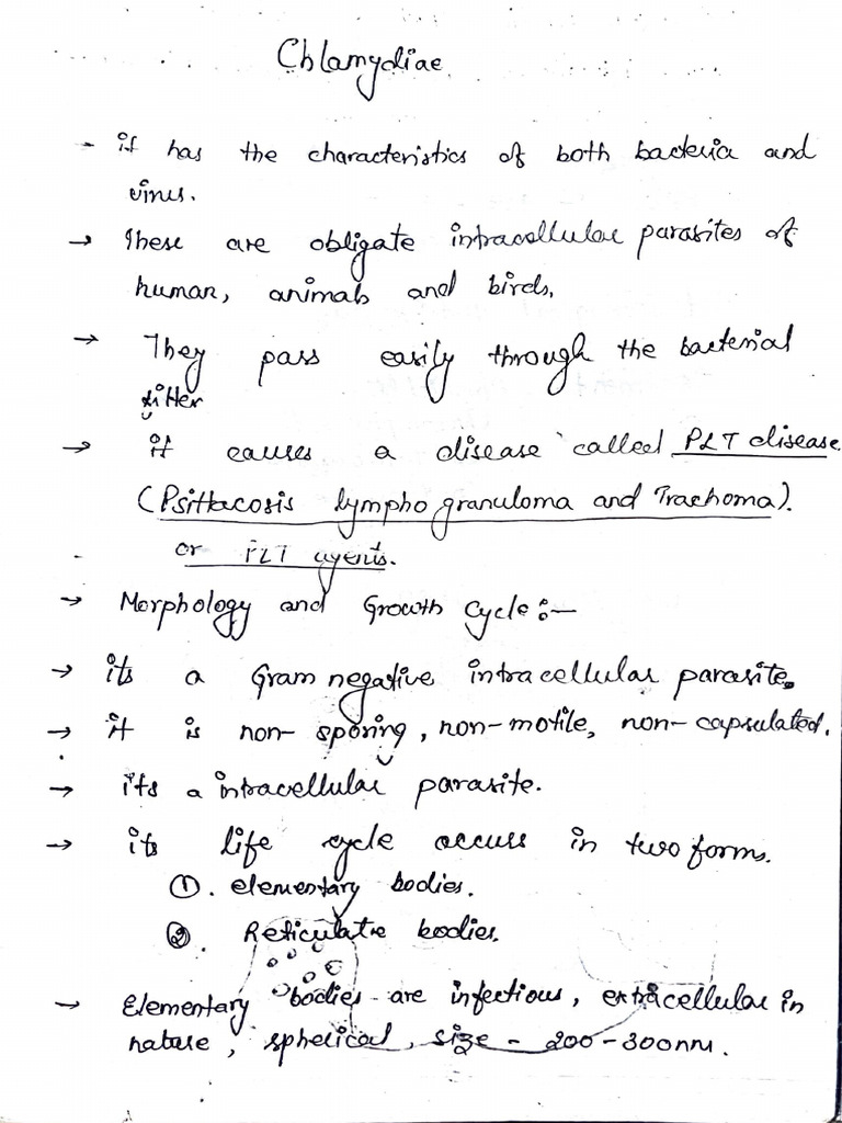 Chlamydiae Pdf