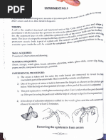 Class 9 Science Lab Manual | PDF | Tissue (Biology) | Mixture