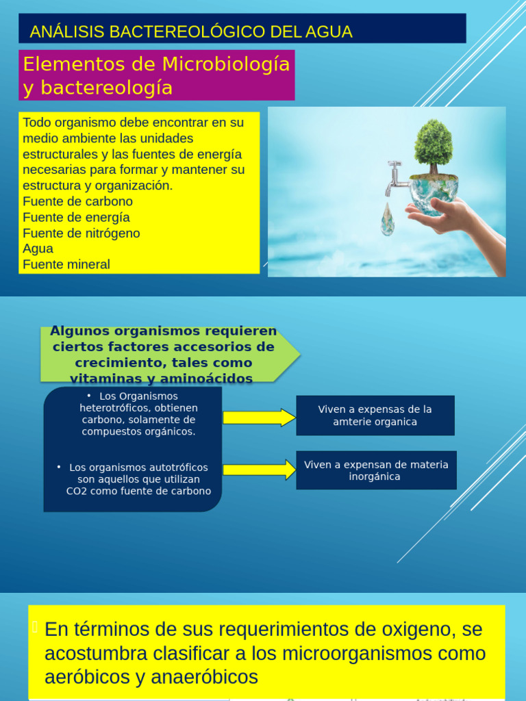 CLASE 7 CALIDAD DEL AGUA | PDF | Salmonela | Microorganismo