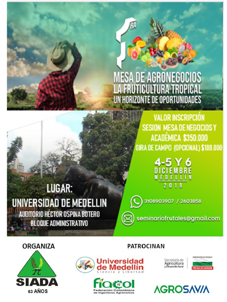 AFICHE PROMOCIONAL | PDF